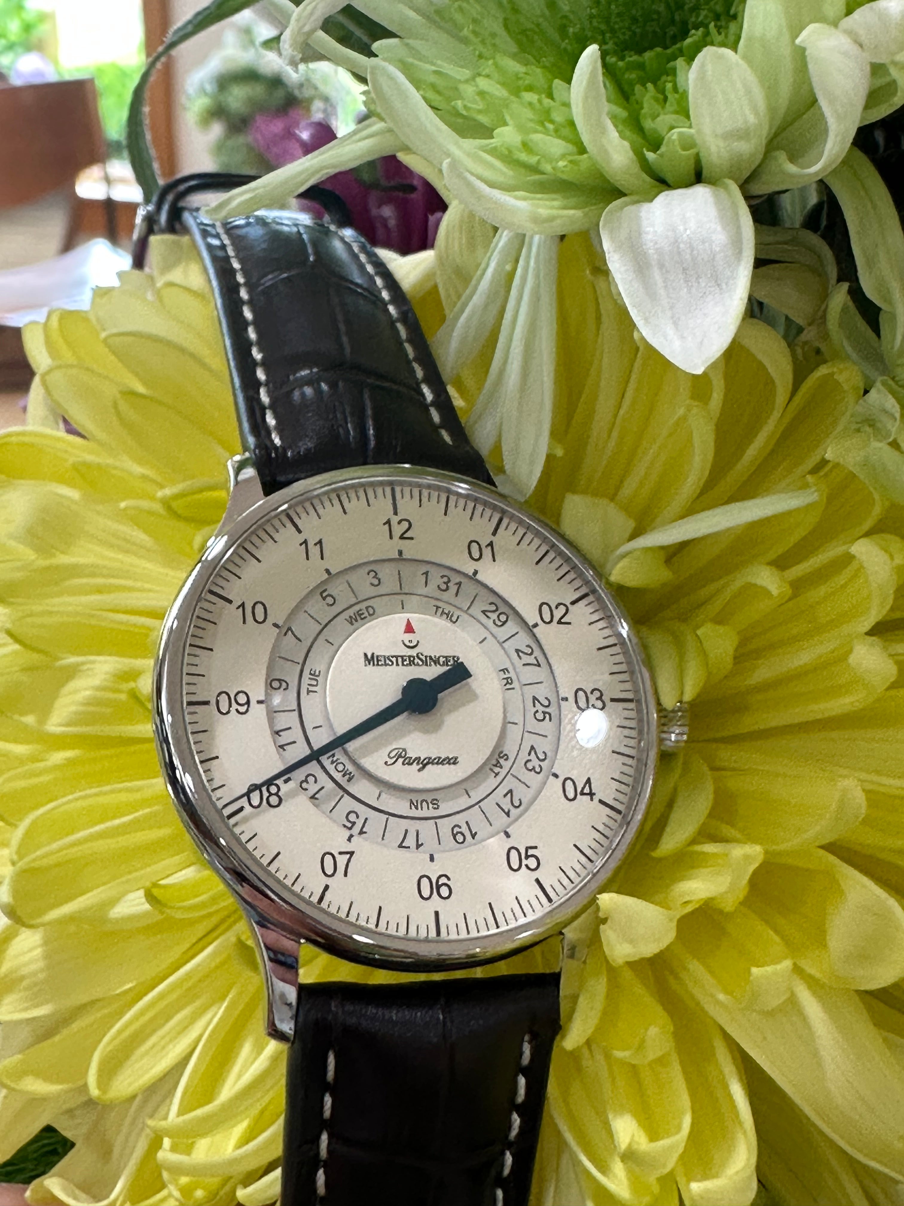 Pangaea Day Date Watch by Meister Singer # 543-01695 – O’Neill’s Estate ...